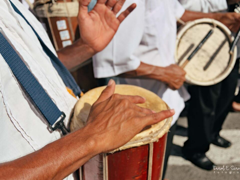 La tuna panameña - lacabanga
